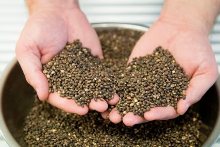 Learn more about indigenous ingredients at this Sydney Bar Week ...