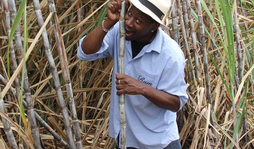 Don’t miss global rum ambassador Ian Burrell's tour across Australia ...