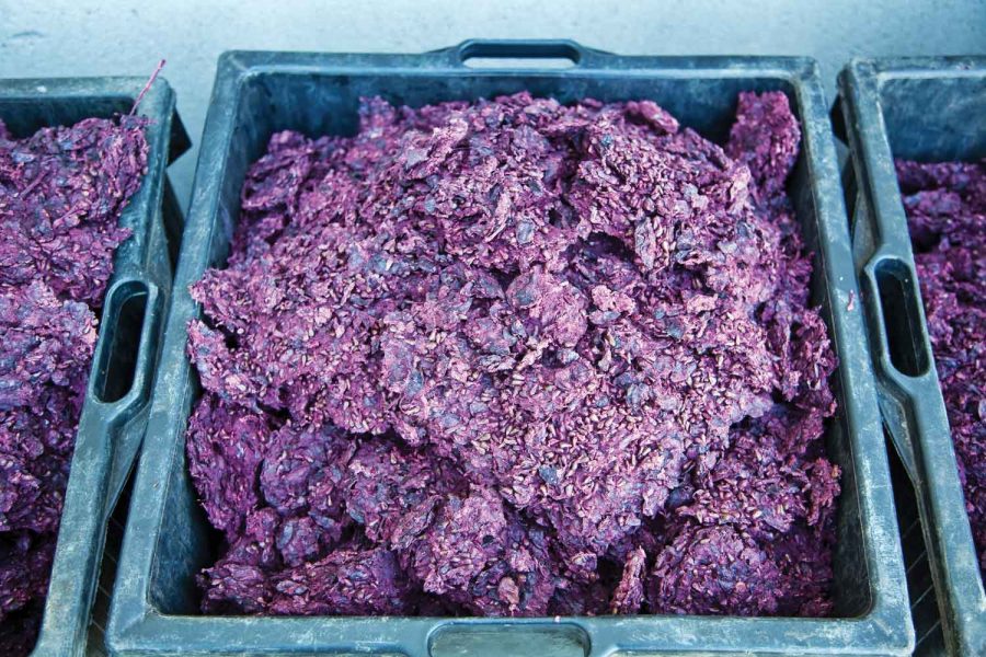 What is grappa? The spirit that turns garbage into goodness ...