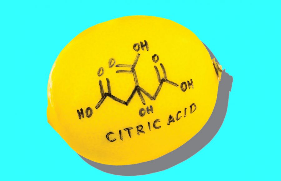 Dropping acid in drinks: Kurtis Bosley offers some advice ...