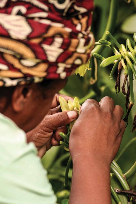 What is vanilla? Where it's grown, how it's made — and how to find the ...