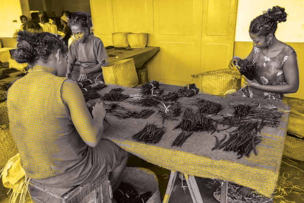 What is vanilla? Where it's grown, how it's made — and how to find the ...