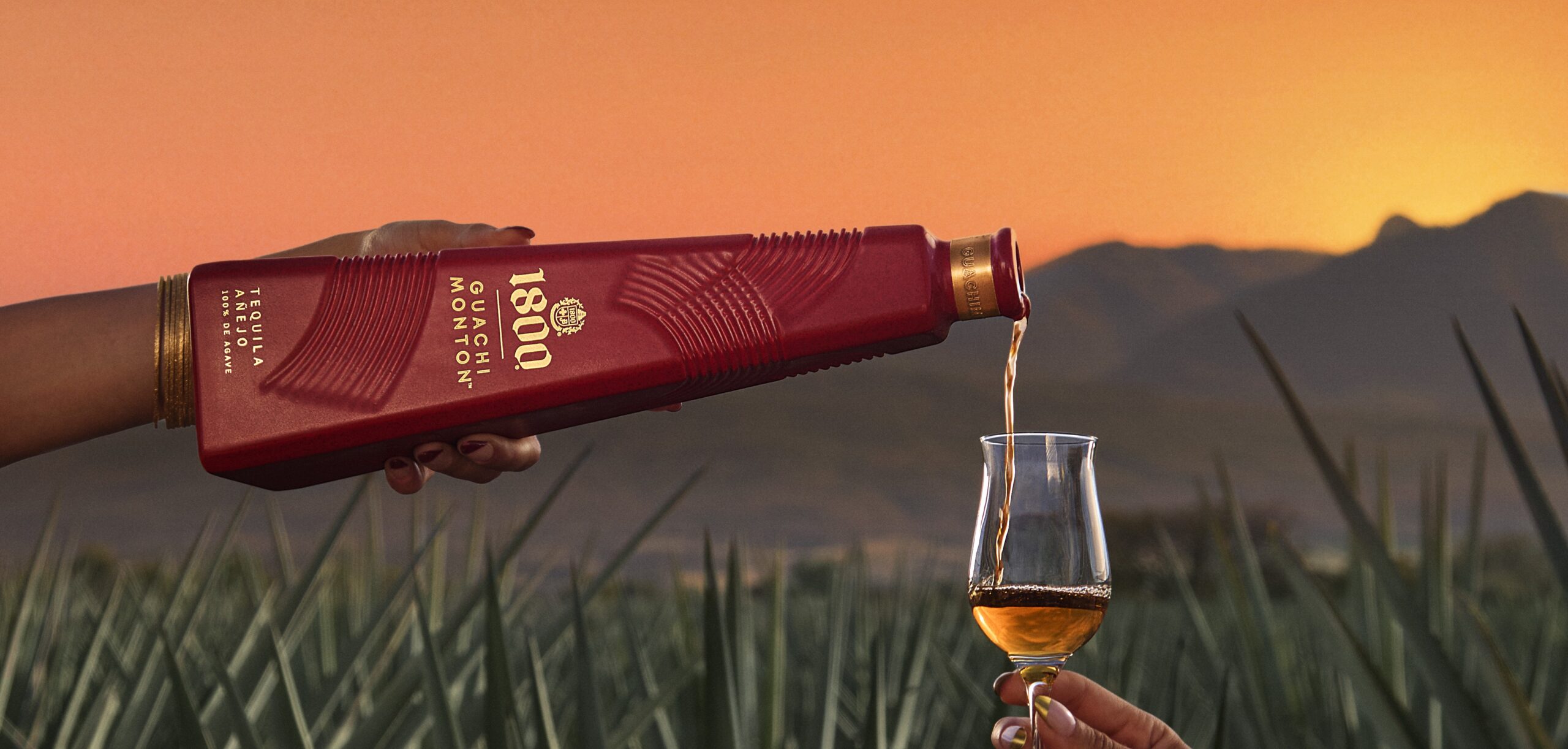 Taste heritage, history, and authenticity with 1800 GuachiMonton ...